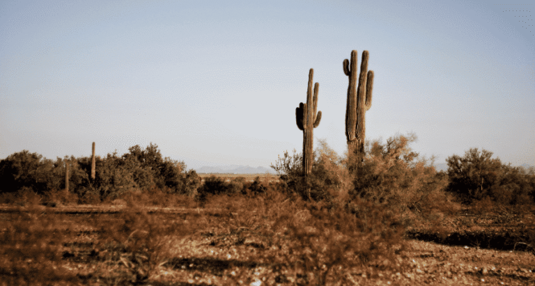 A Look at Commercial Rebates in the Southwest – incentiverebate360